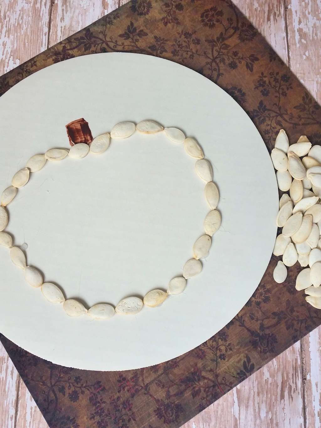 Pumpkin Seed Craft - My Thoughts, Ideas, and Ramblings