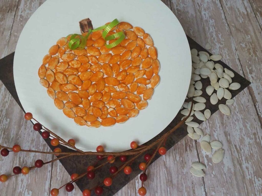 Pumpkin Seed Craft - My Thoughts, Ideas, and Ramblings
